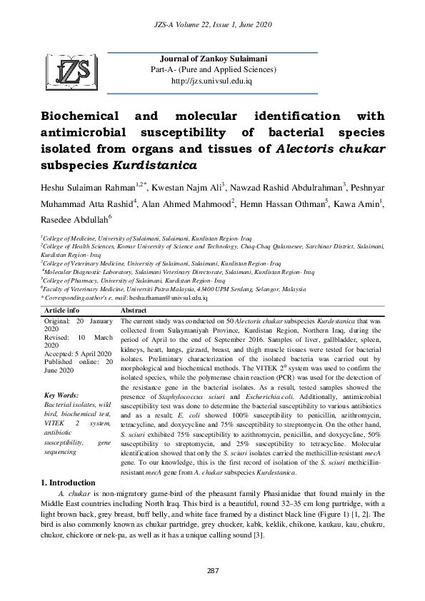 (PDF) Biochemical and molecular identification with antimicrobial susceptibility of bacterial ...