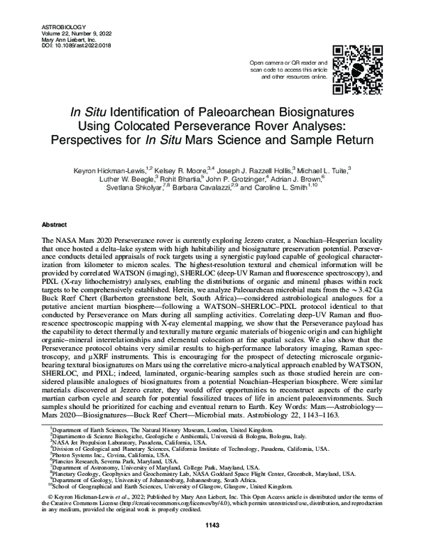 (PDF) In Situ Identification of Paleoarchean Biosignatures Using ...