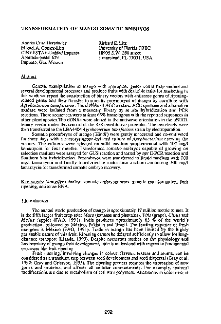 (PDF) Transformation of Mango Somatic Embryos