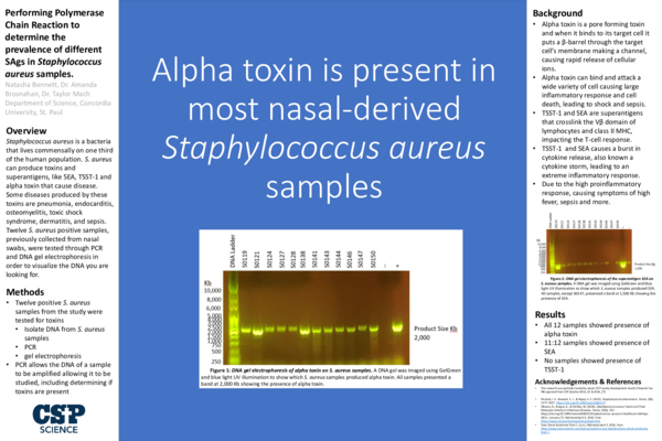 (PDF) Alpha toxin is present in most nasal-derived Staphylococcus ...