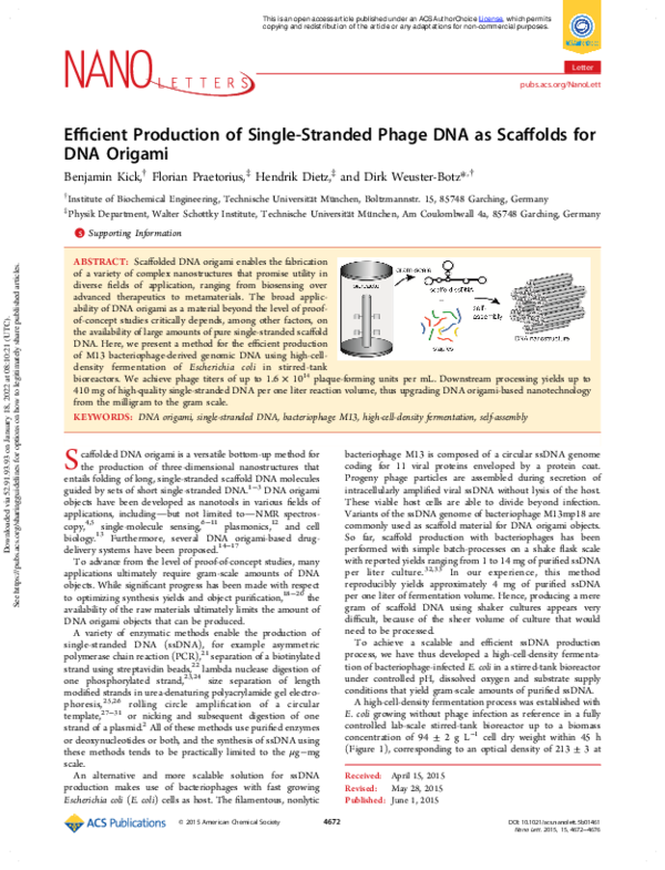 (PDF) Efficient Production of Single-Stranded Phage DNA as Scaffolds ...