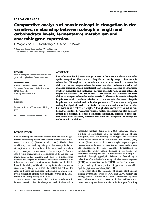 (PDF) Comparative analysis of anoxic coleoptile elongation in rice ...