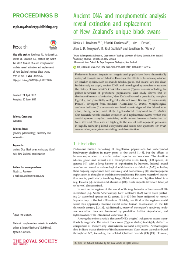 (PDF) Ancient DNA and morphometric analysis reveal extinction and ...