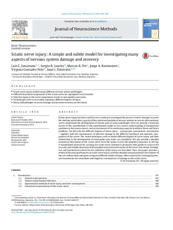 (PDF) Sciatic nerve injury: A simple and subtle model for investigating many aspects of nervous ...