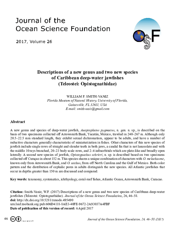 (PDF) Descriptions of a new genus and two new species of Caribbean deep ...