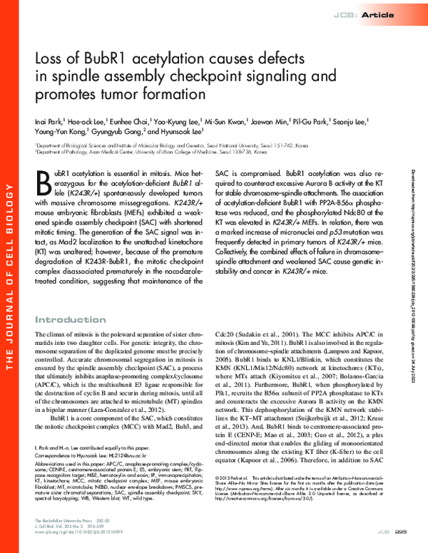 (PDF) Loss of BubR1 acetylation causes defects in spindle assembly ...