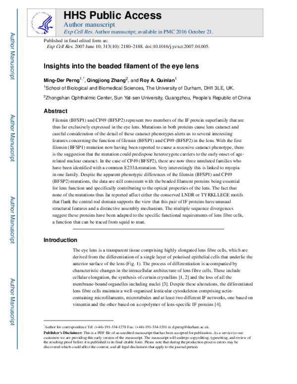 (PDF) Insights into the beaded filament of the eye lens