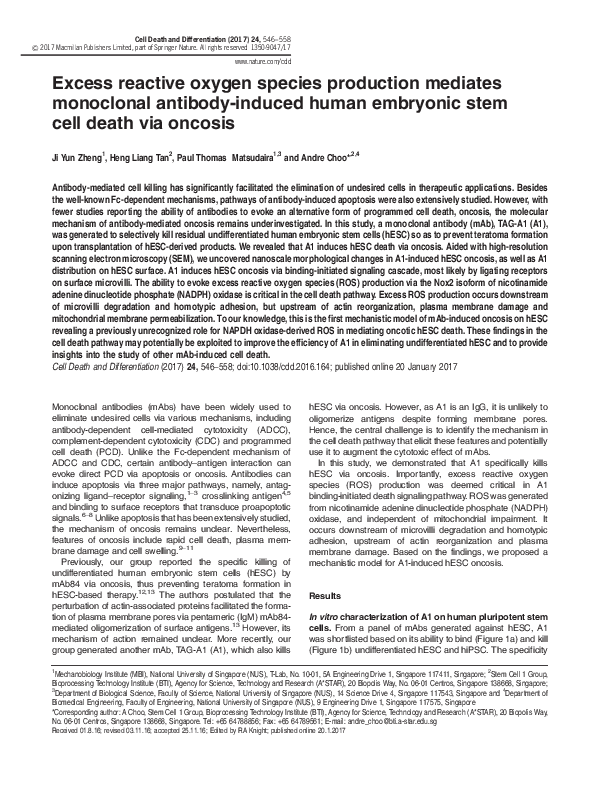 (PDF) Excess reactive oxygen species production mediates monoclonal ...