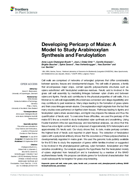 (PDF) Developing Pericarp of Maize: A Model to Study Arabinoxylan ...
