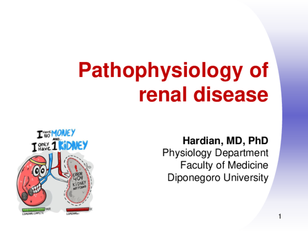 (PDF) Kidney disease pathophysiology