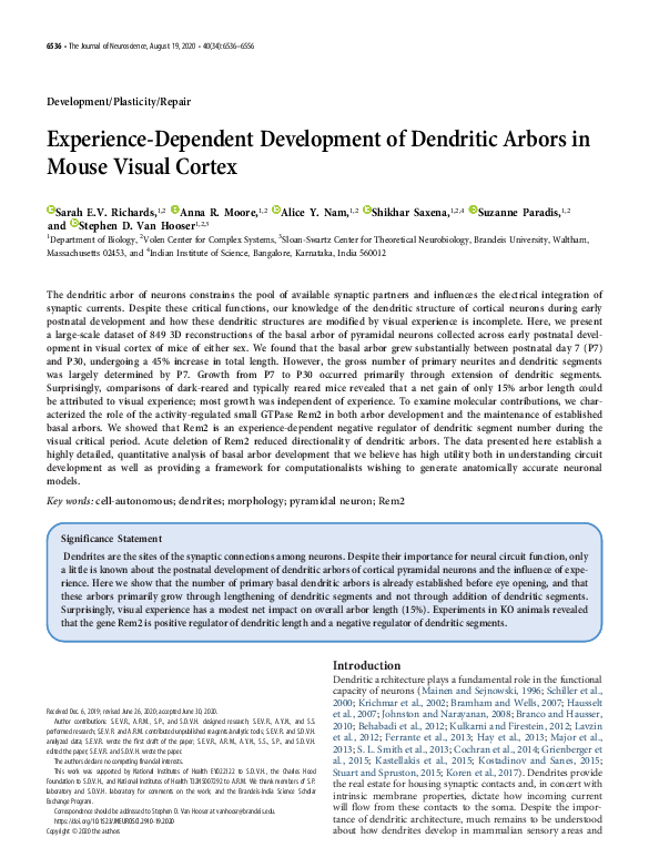 (PDF) Experience-Dependent Development of Dendritic Arbors in Mouse ...