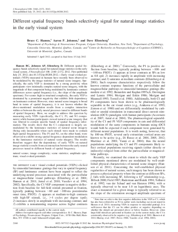 (PDF) Different spatial frequency bands selectively signal for natural ...