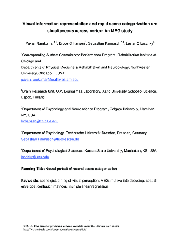 (PDF) Visual information representation and rapid-scene categorization ...