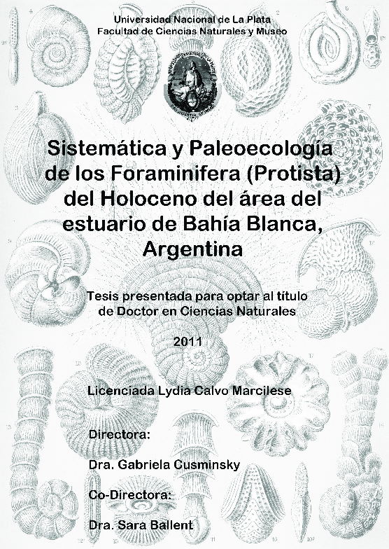 (PDF) Sistemática y paleoecología de los Foraminifera (Protista) del ...