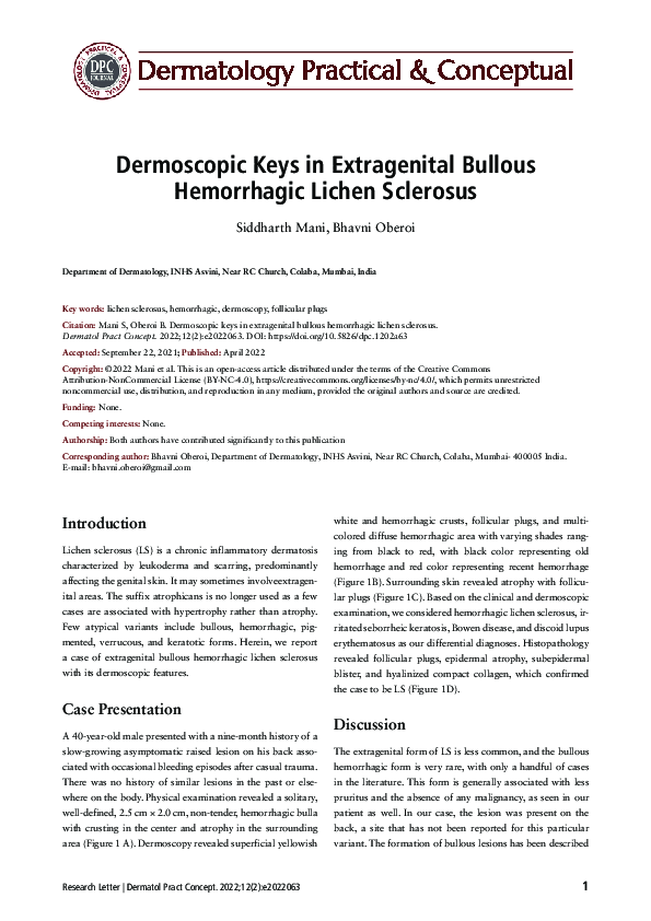 (PDF) Dermoscopic keys in extragenital bullous haemorrhagic lichen ...