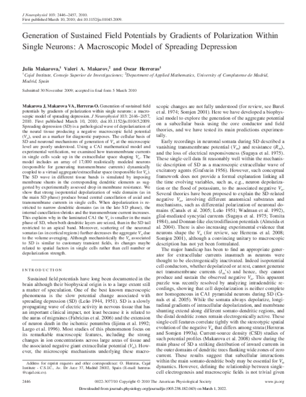 (PDF) Generation of Sustained Field Potentials by Gradients of ...
