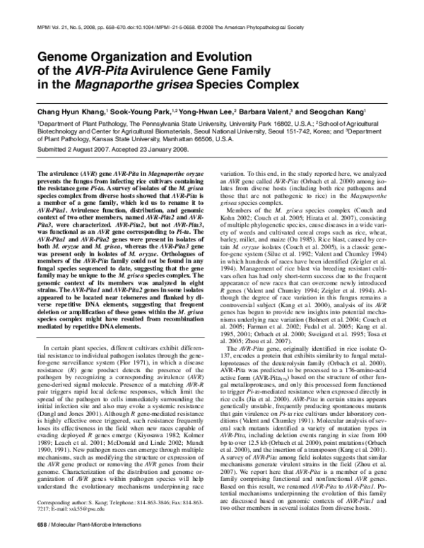 (PDF) Genome Organization and Evolution of the AVR-Pita Avirulence Gene ...