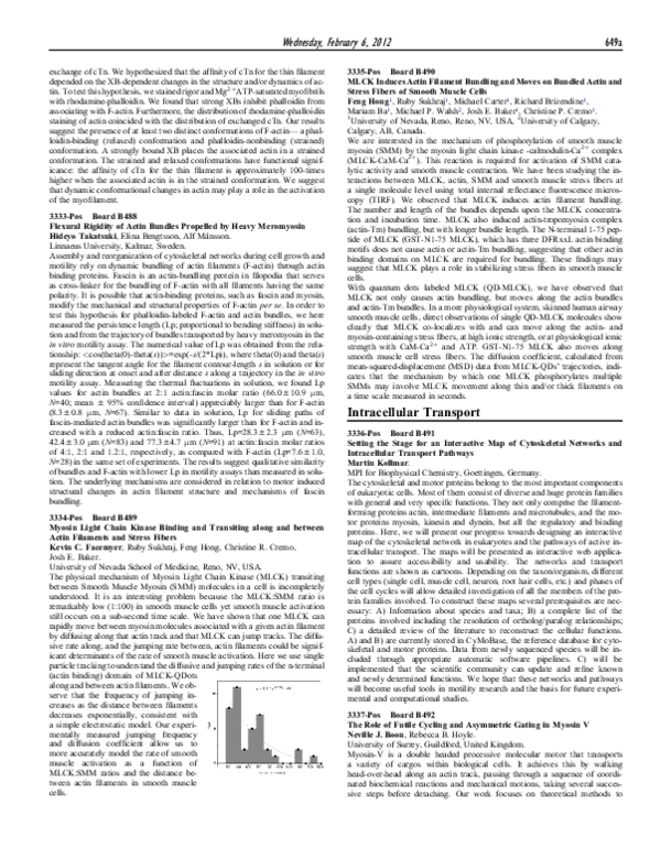 (PDF) MLCK Induces Actin Filament Bundling and Moves on Bundled Actin ...