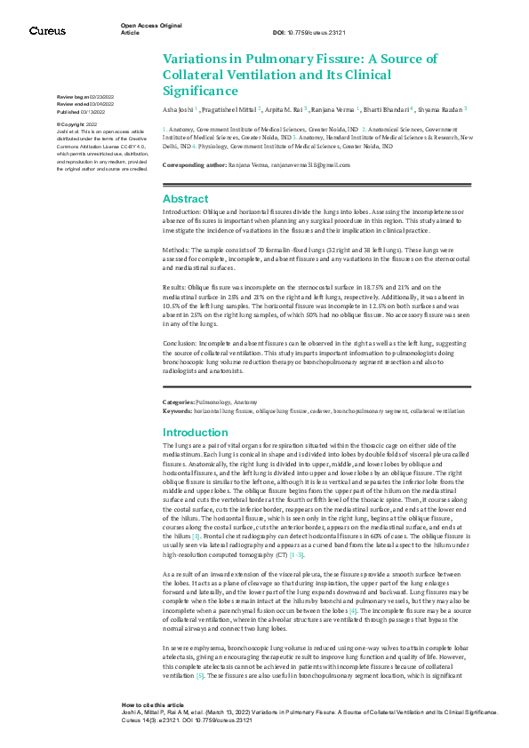 (PDF) Variations in Pulmonary Fissure: A Source of Collateral ...