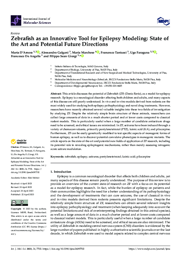 (PDF) Zebrafish as an Innovative Tool for Epilepsy Modeling: State of ...
