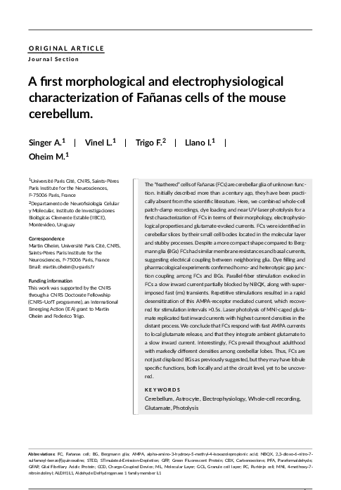 (PDF) A first morphological and electrophysiological characterization ...