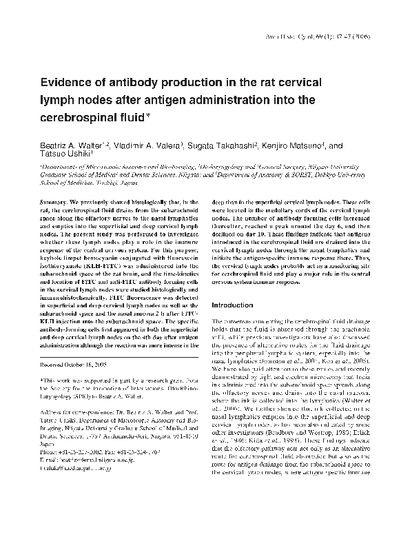 (PDF) Evidence of antibody production in the rat cervical lymph nodes ...
