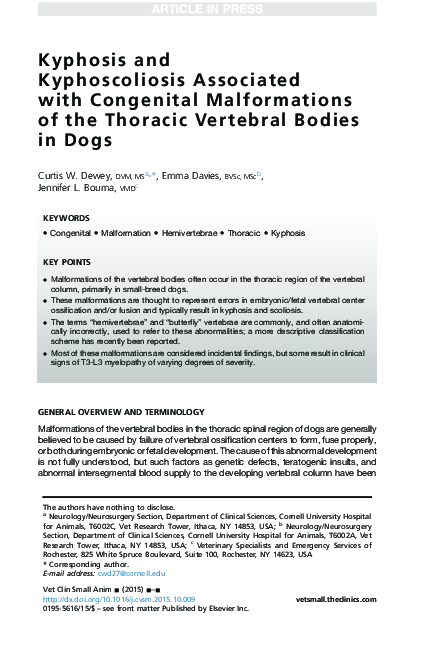 (PDF) Kyphosis and Kyphoscoliosis Associated with Congenital ...