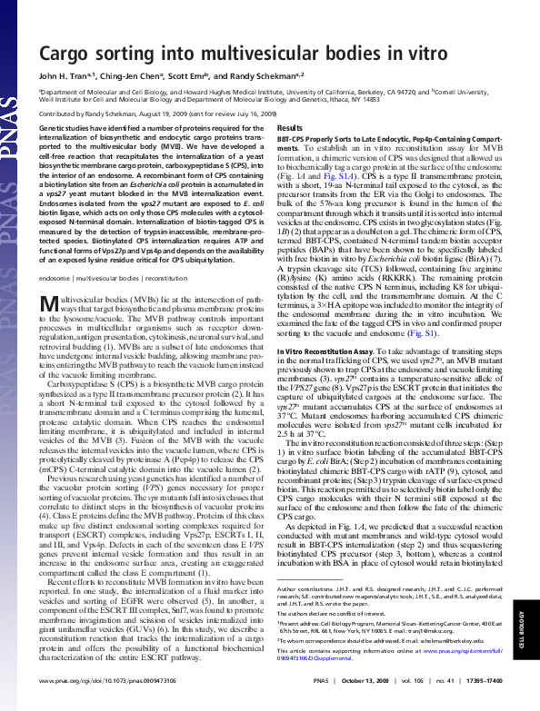 (PDF) Cargo sorting into multivesicular bodies in vitro