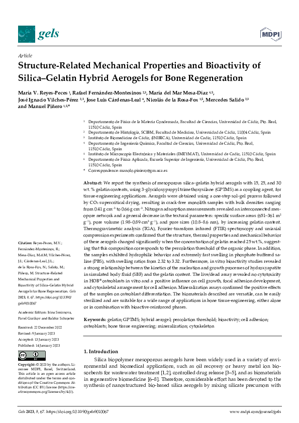 (PDF) Structure-Related Mechanical Properties and Bioactivity of Silica–Gelatin Hybrid Aerogels ...