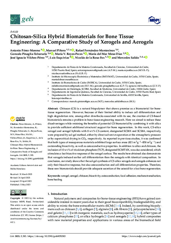 (PDF) Chitosan-Silica Hybrid Biomaterials for Bone Tissue Engineering ...