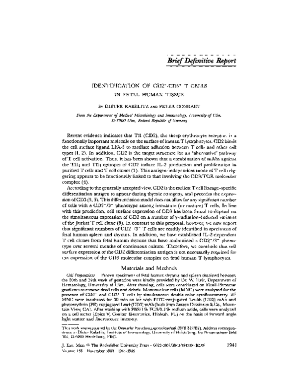 (PDF) Identification of CD2-/CD3+ T cells in fetal human tissue