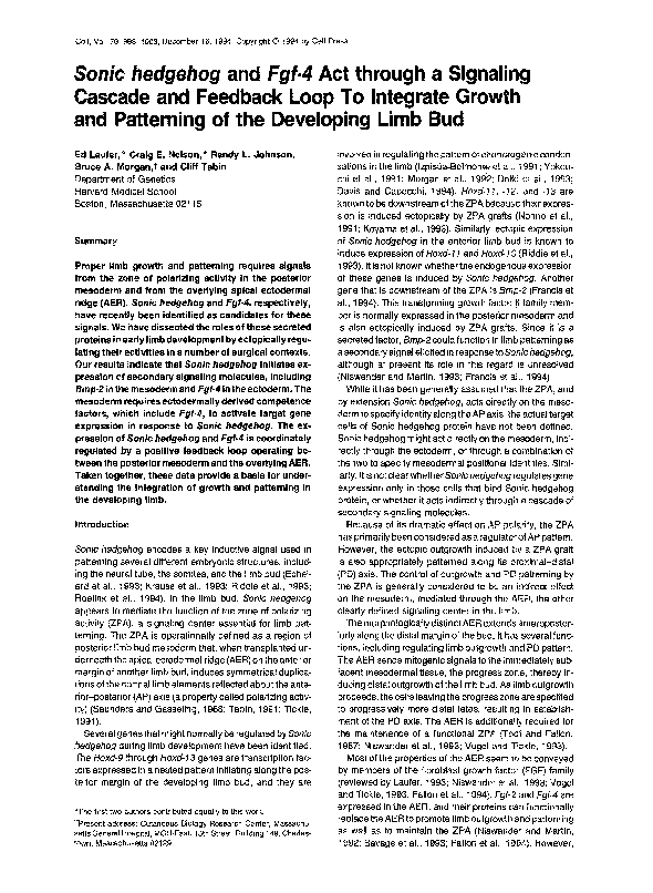 (PDF) Sonic hedgehog and Fgf-4 act through a signaling cascade and ...