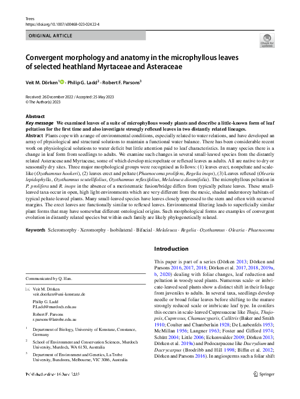 (PDF) Convergent morphology and anatomy in the microphyllous leaves of ...