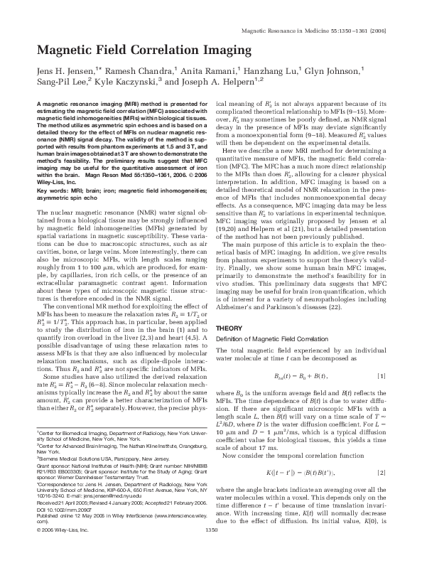 (PDF) Magnetic field correlation imaging