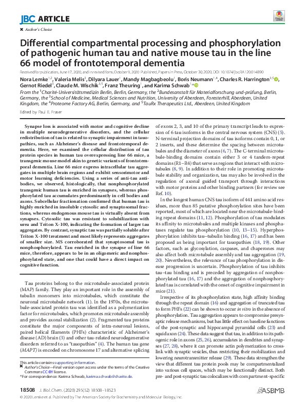 (PDF) Differential compartmental processing and phosphorylation of pathogenic human tau and ...