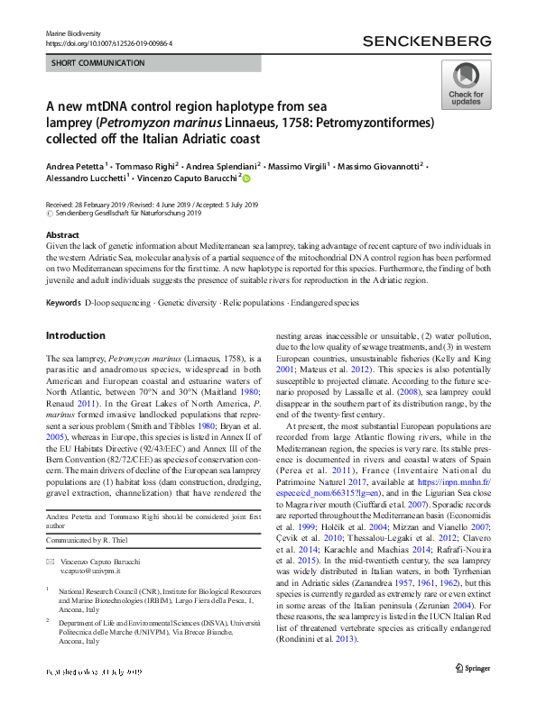 (PDF) A new mtDNA control region haplotype from sea lamprey (Petromyzon ...