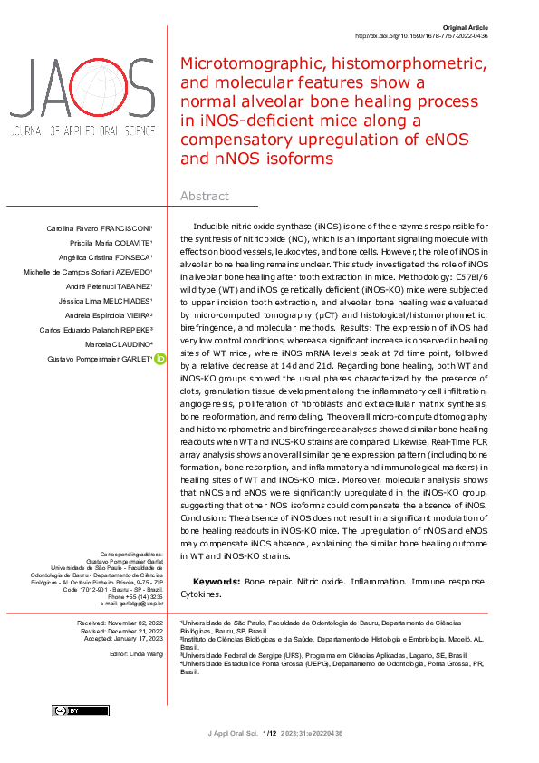 (PDF) Microtomographic, histomorphometric, and molecular features show ...
