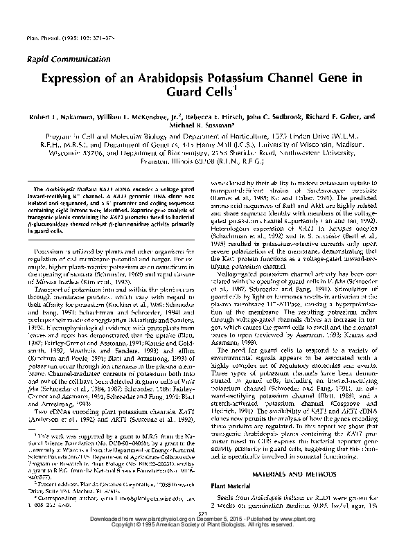 (PDF) Expression of an Arabidopsis Potassium Channel Gene in Guard Cells