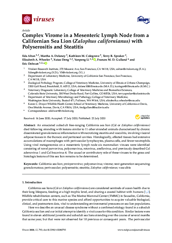 (PDF) Complex Virome in a Mesenteric Lymph Node from a Californian Sea ...
