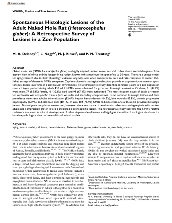 (PDF) Spontaneous Histologic Lesions of the Adult Naked Mole Rat ...
