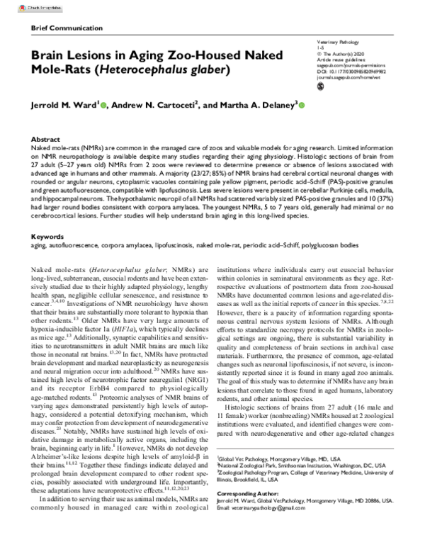 (PDF) Brain Lesions in Aging Zoo-Housed Naked Mole-Rats ...