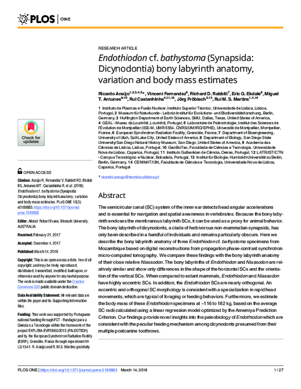 (PDF) Endothiodon cf. bathystoma (Synapsida: Dicynodontia) bony ...
