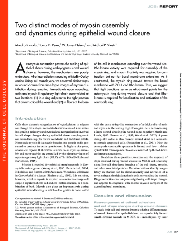 (PDF) Two distinct modes of myosin assembly and dynamics during ...