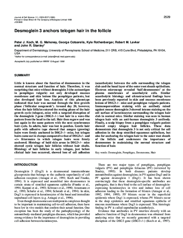 (PDF) Desmoglein 3 anchors telogen hair in the follicle