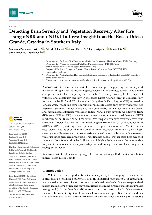 (PDF) Detecting Burn Severity and Vegetation Recovery After Fire Using ...