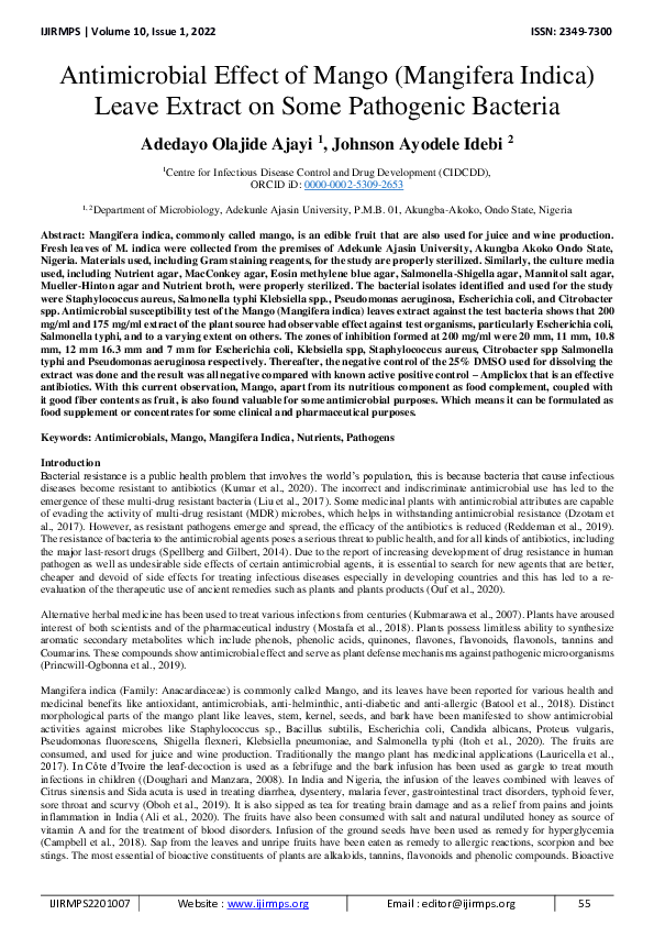 (PDF) Antimicrobial Effect of Mango (Mangifera Indica) Leave Extract on Some Pathogenic Bacteria