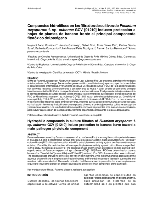 (PDF) Compuestos hidrofílicos en los filtrados de cultivos de Fusarium ...