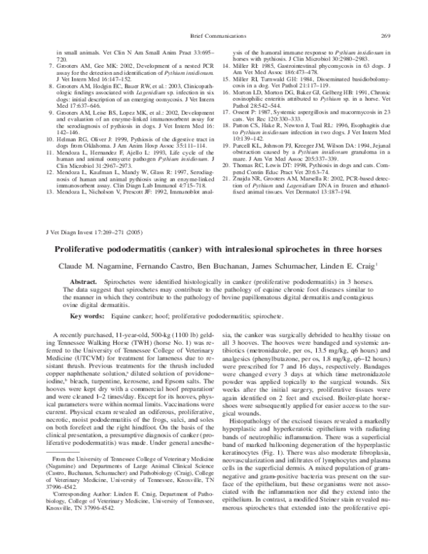 (PDF) Proliferative Pododermatitis (Canker) with Intralesional ...