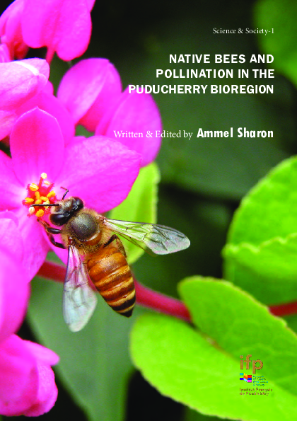 (PDF) Native Bees and Pollination in the Puducherry Bioregion