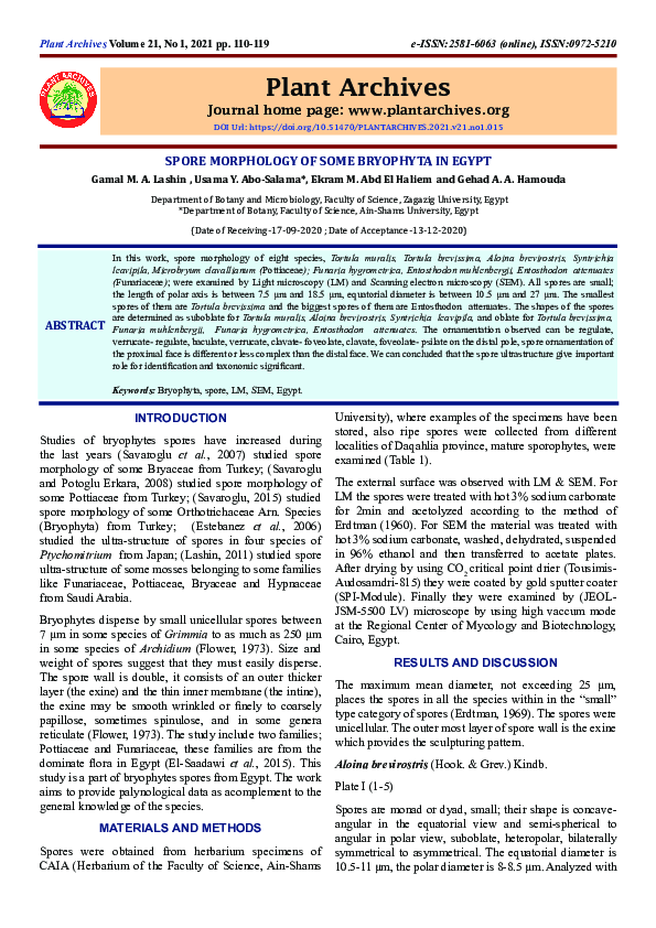 (PDF) Spore Morphology of Some Bryophyta in Egypt